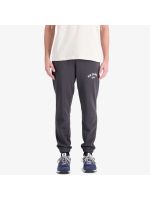 Essentials varsity fleece pant