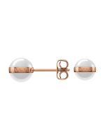 Daniel wellington dw00400152 aspiration earrings