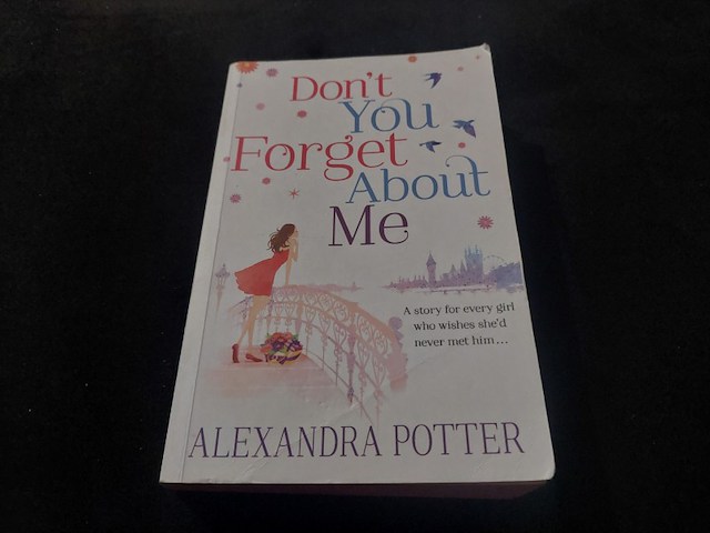 Don`t you forget about me Alexandra Potter