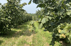 SNIŽENO -FANTASTIČNA PRILIKA - RAZRAĐEN BIZNIS LEŠNICI- PRODAJA, ZAMENA