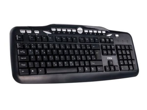 Tastatura MS Industrial Alpha C100 usb crna