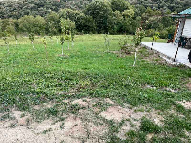 Savršeno mesto za beg od gradske buke