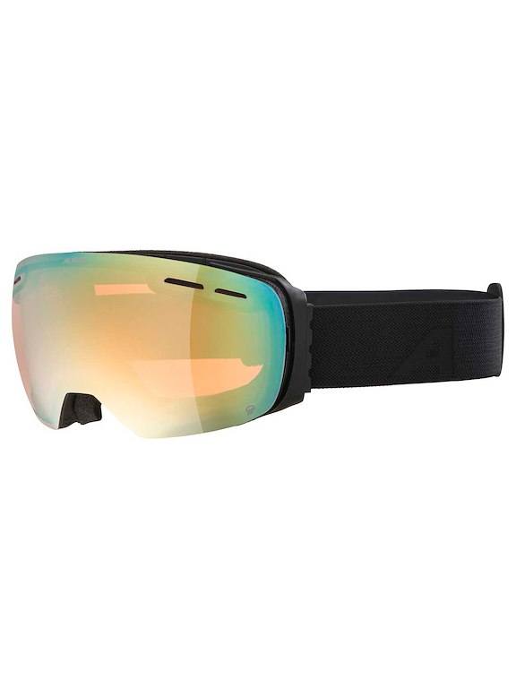 ALPINA GRANBY Ski Goggle