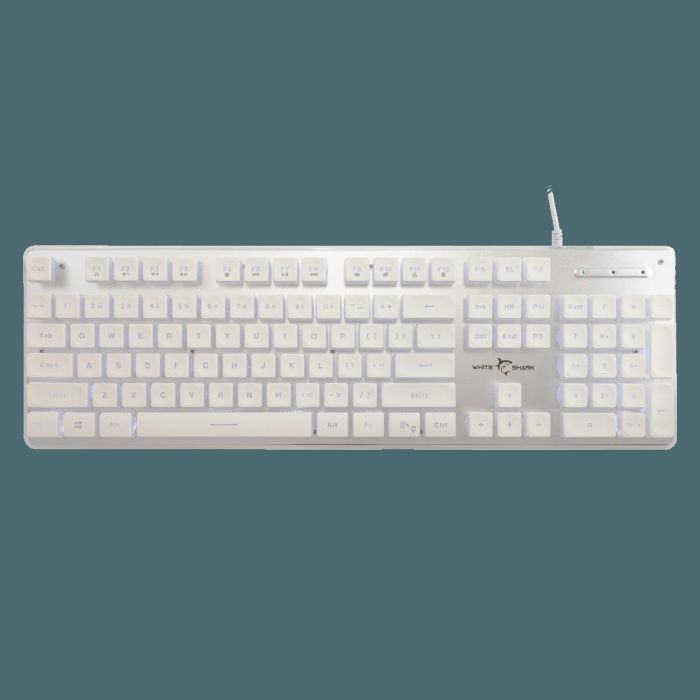 WS GK 003241 TACHI White, Keyboard - US