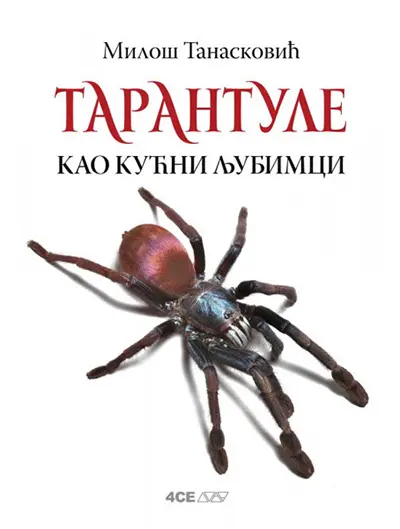 Tarantule kao kućni ljubimci