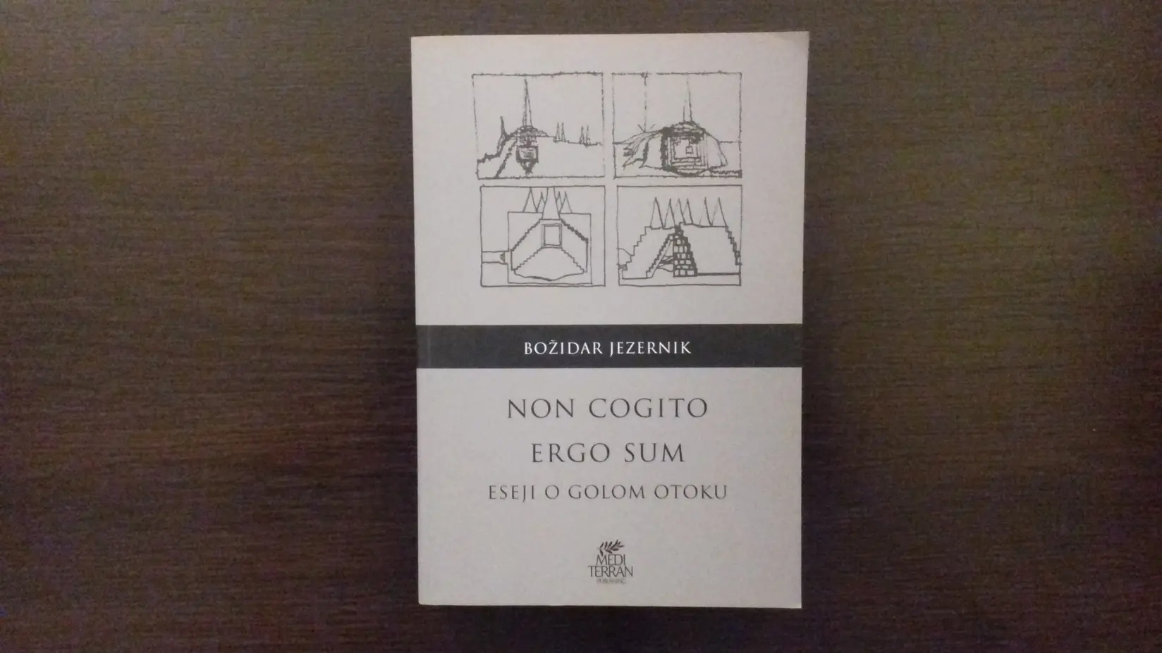 Non cogito ergo sum - Eseji o Golom otoku - Božidar Jezernik