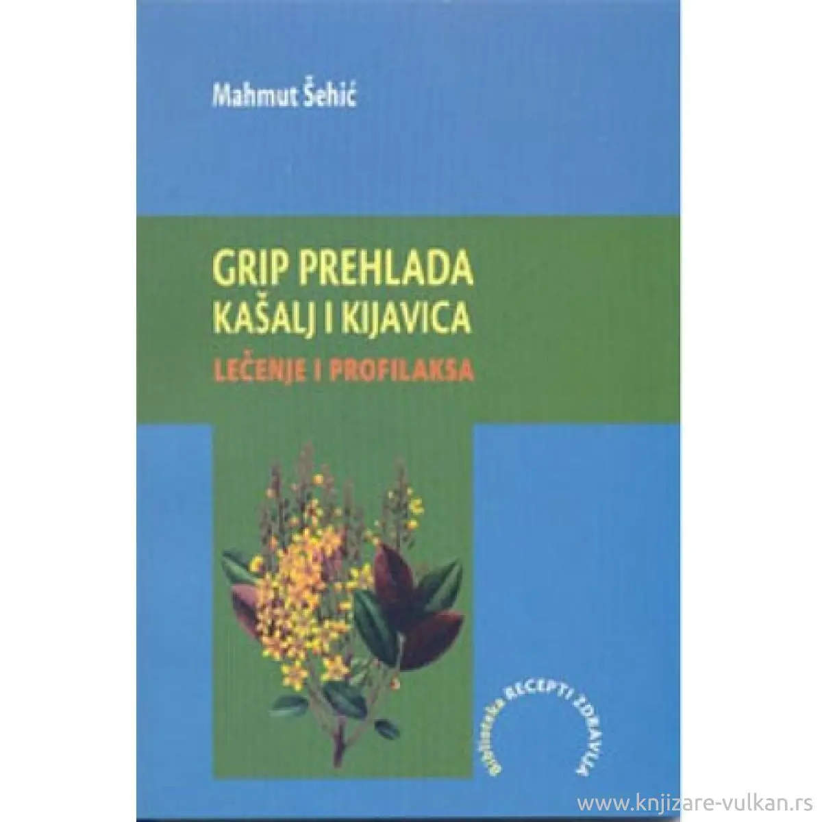 Grip, prehlada, kašalj i kijavica - Mahmut Šehić