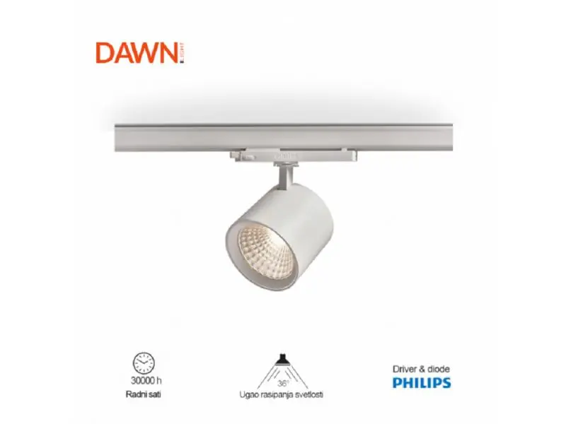 DAWN LED Reflektor šinski 301210-1 30W 3000K trofazni beli