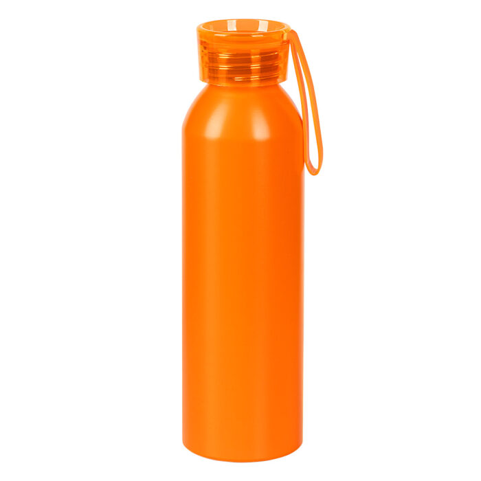 Sportska boca, 650 ml