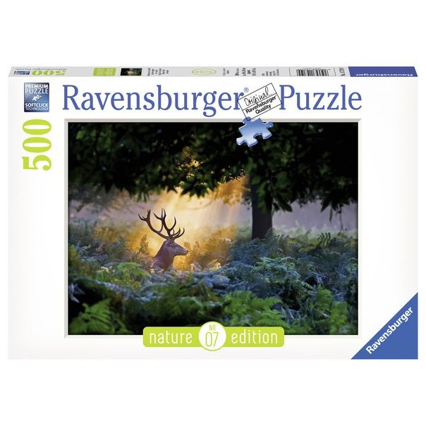 Ravensburger puzzle - Magična scena - 500 delova