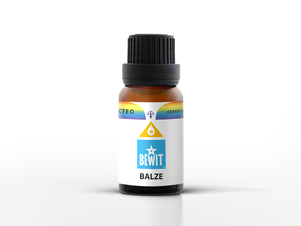 BALZE (Alzheimer)