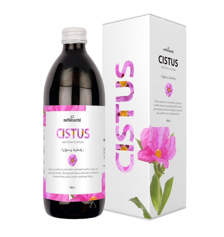 Cistus