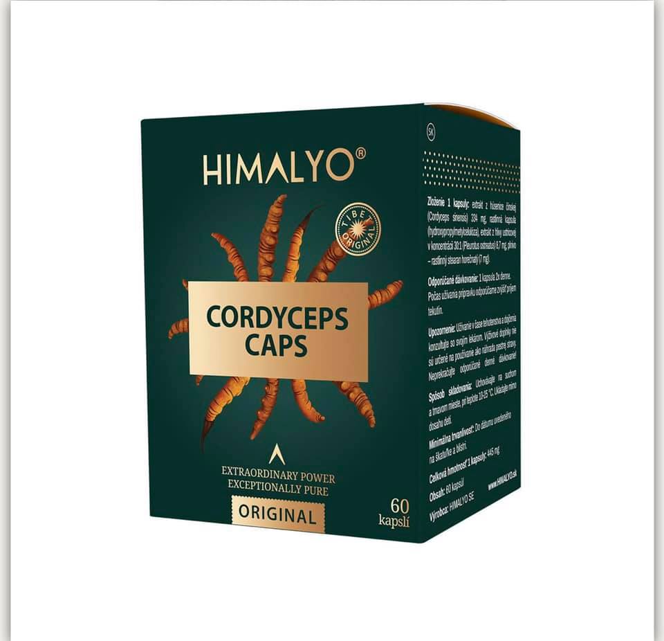 Cordyceps