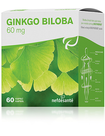 Ginkgo Biloba