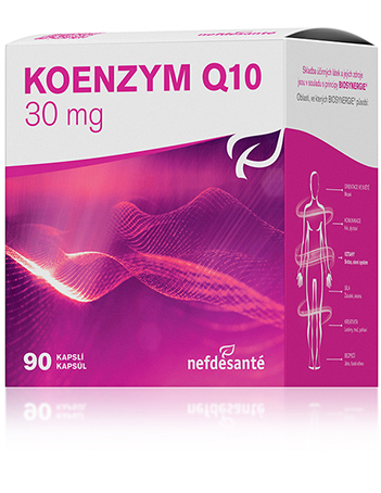 Koenzim Q10