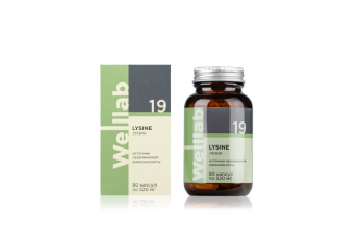 Lysine/Lizin