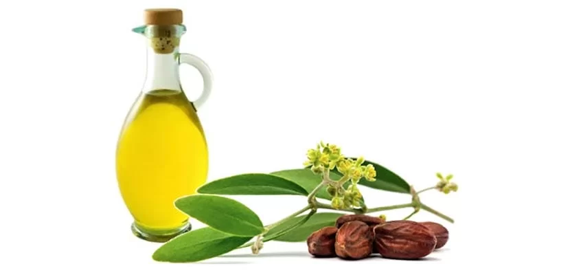 JOJOBA ULJE – NERAFINISANO