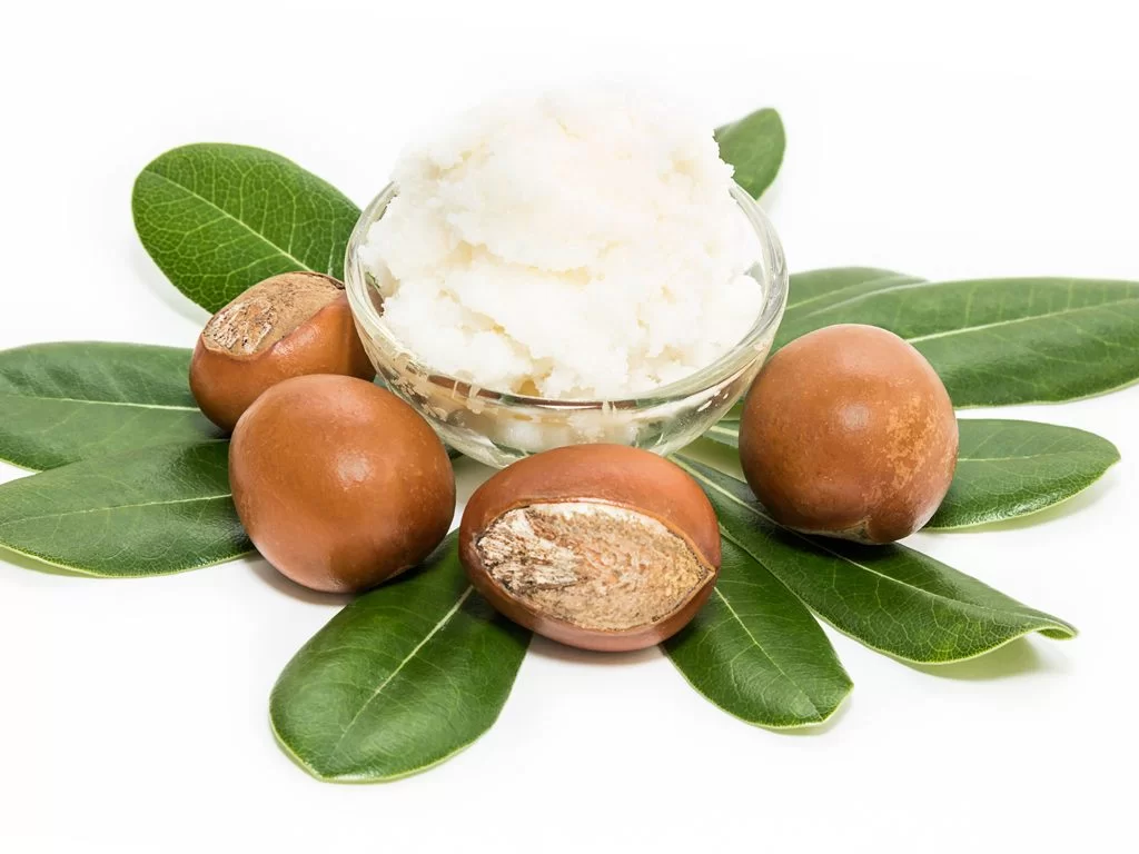 SHEA BUTTER ORGANIC