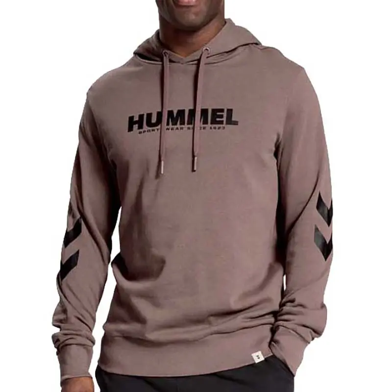 HUMMEL Duks hmllegaci logo hoodie