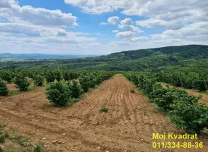 Prodaja Građevinsko zemljište - Mladenovac, Koraćica