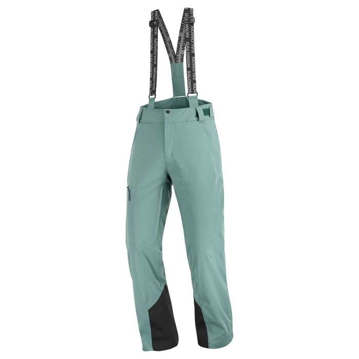 Salomon Brilliant pantalone