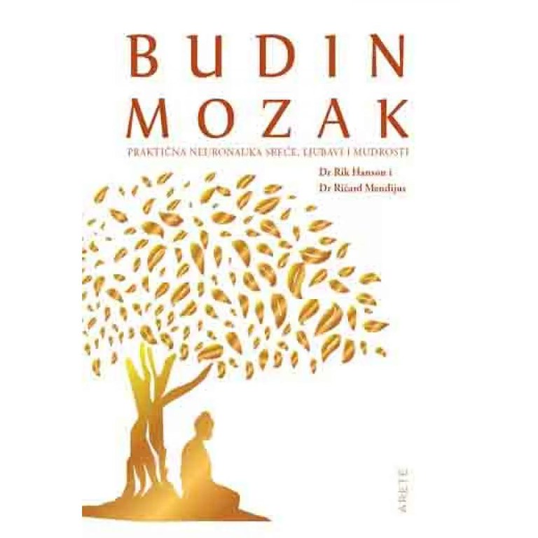 BUDIN MOZAK