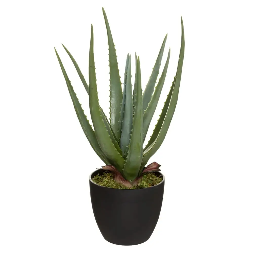 ATMOSPHERA Dekorativno cveće Aloe 44cm