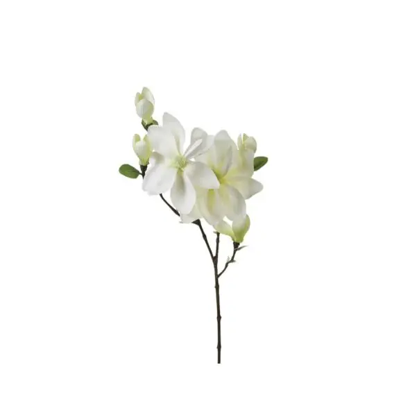 ATMOSPHERA Magnolia stem 25x79cm, Bela