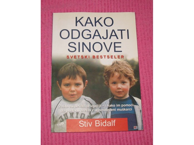 Stiv Bidalf - KAKO ODGAJATI SINOVE. KAO NOVO!