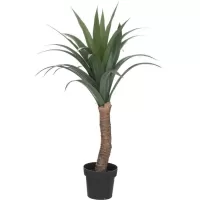 Atmosphera Dekorativna Biljka Yucca Palma