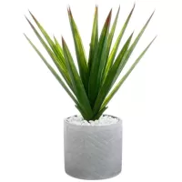 Atmosphera Aloe Vera U Saksiji 44 x 47cm