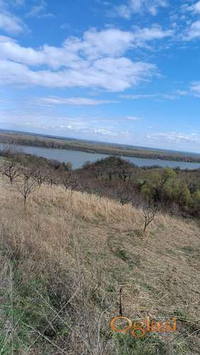 Voćnjak 36 ara sa prelepim pogledom na Dunav