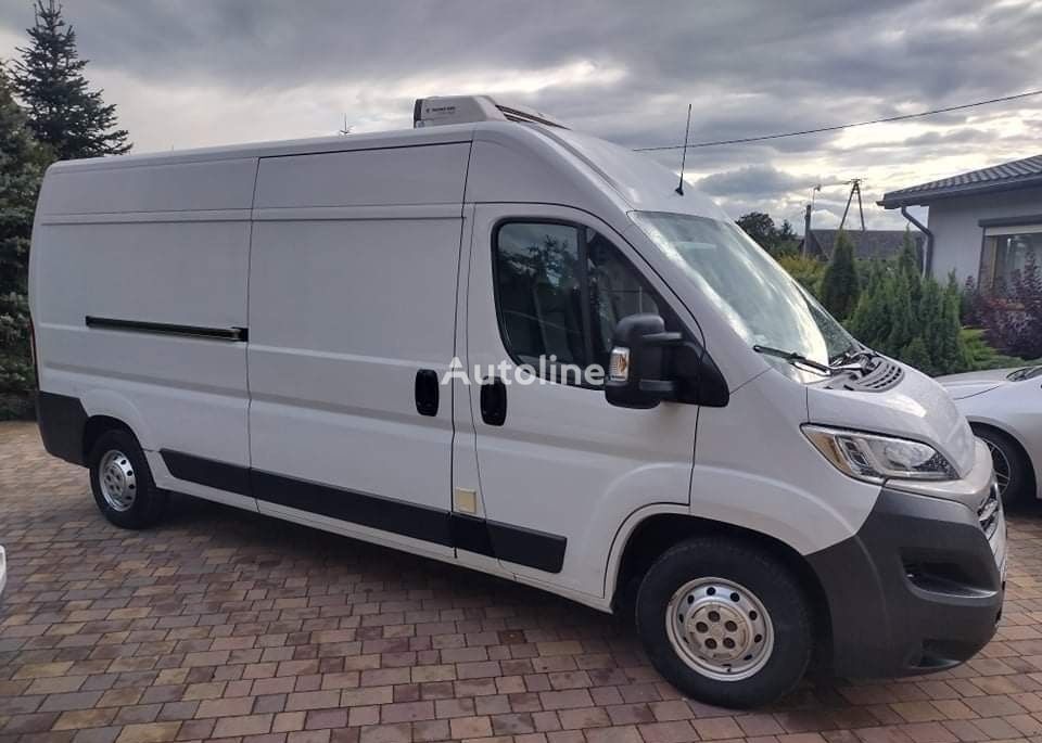 FIAT Ducato minibus furgon