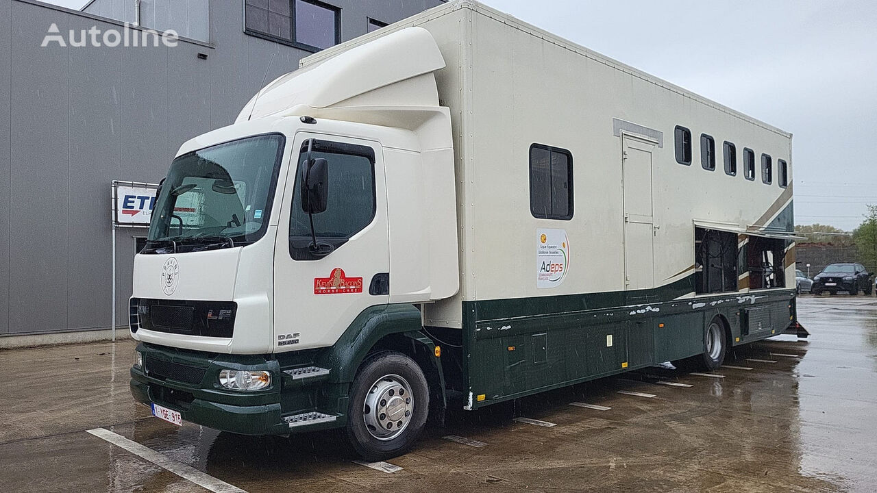 DAF 55 LF 250 (MANUAL GEARBOX / PERFECT BELGIAN TRUCK) kamion furgon