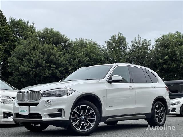 BMW X5 krosover