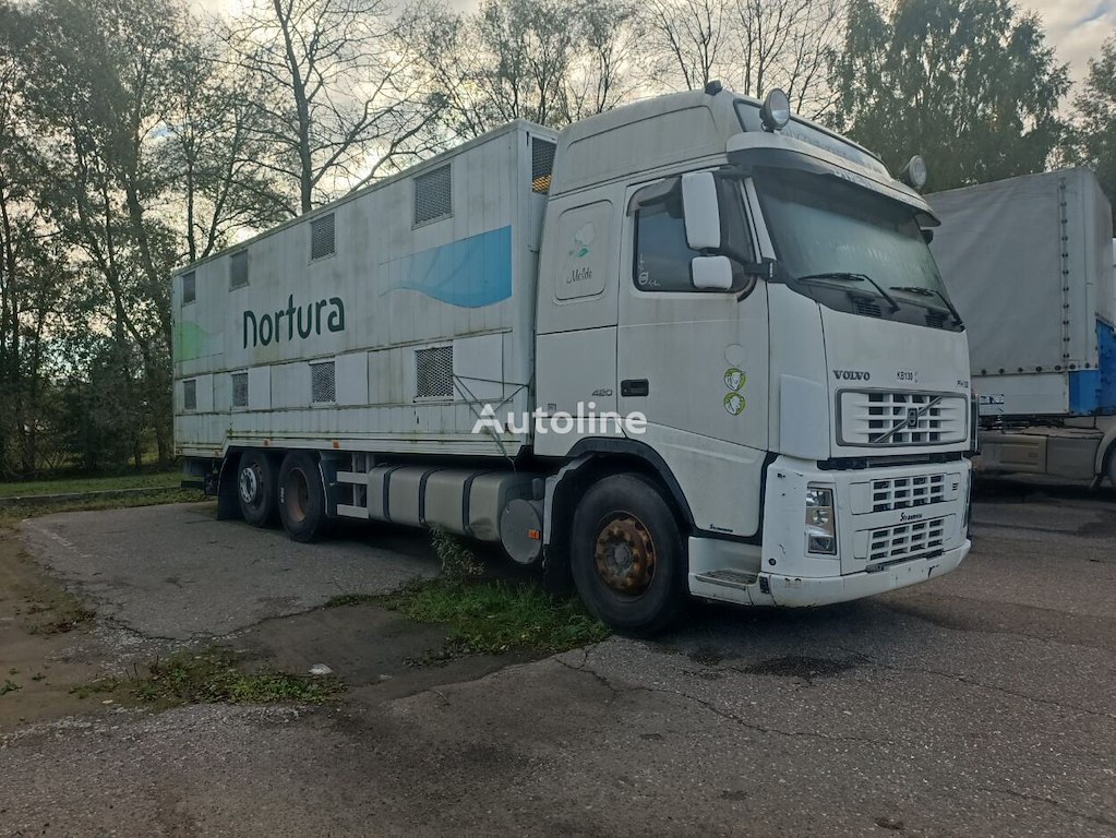 Volvo FH12.420 kamion za prevoz stoke