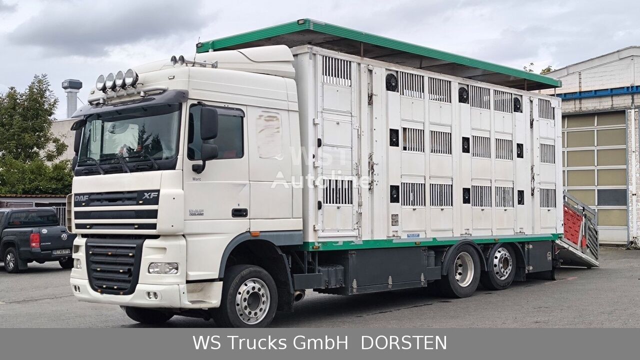 DAF XF 105/460 SC kamion za prevoz stoke