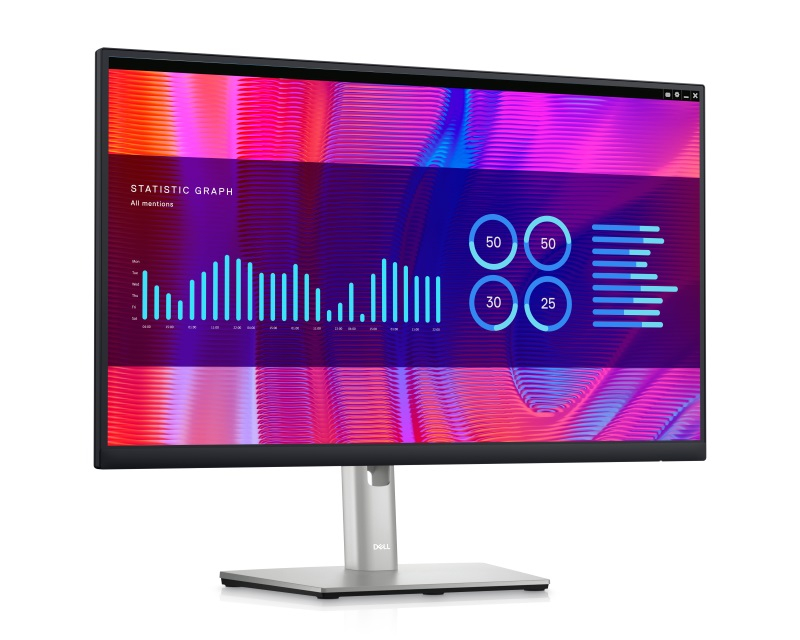 DELL OEM 23.8 inch P2423DE QHD USB-C Professional IPS monitor