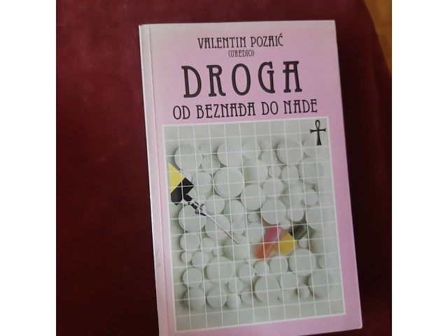 133 Droga : Od beznađa do nade - Valentin Pozaić