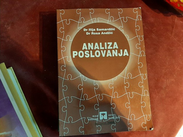 162 Analiza poslovanja - Ilija Samardžić / Rosa Andrić