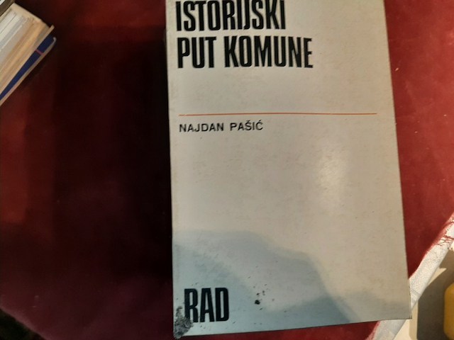 132 ISTORIJSKI PUT KOMUNE - Najdan Pašić