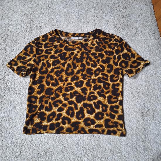 Zara crop top leopard S