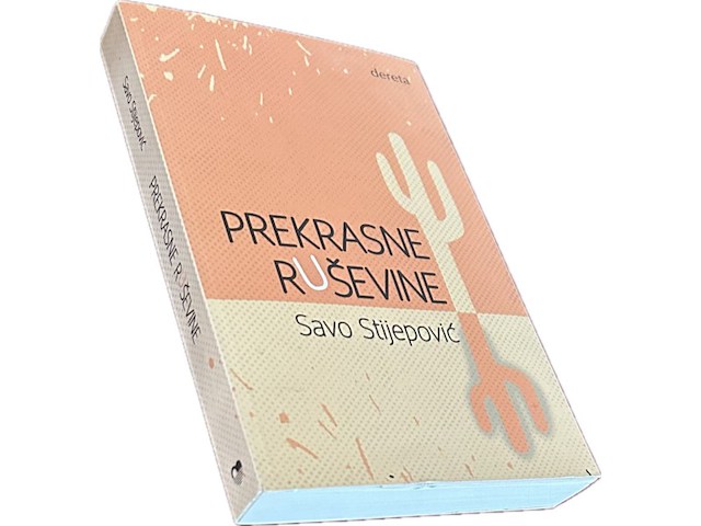 Prekrasne ruševine - Savo Stijepović