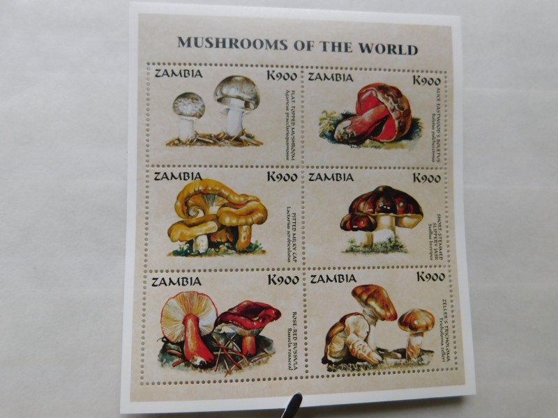 ** ZAMBIJA 1998 BLOK **