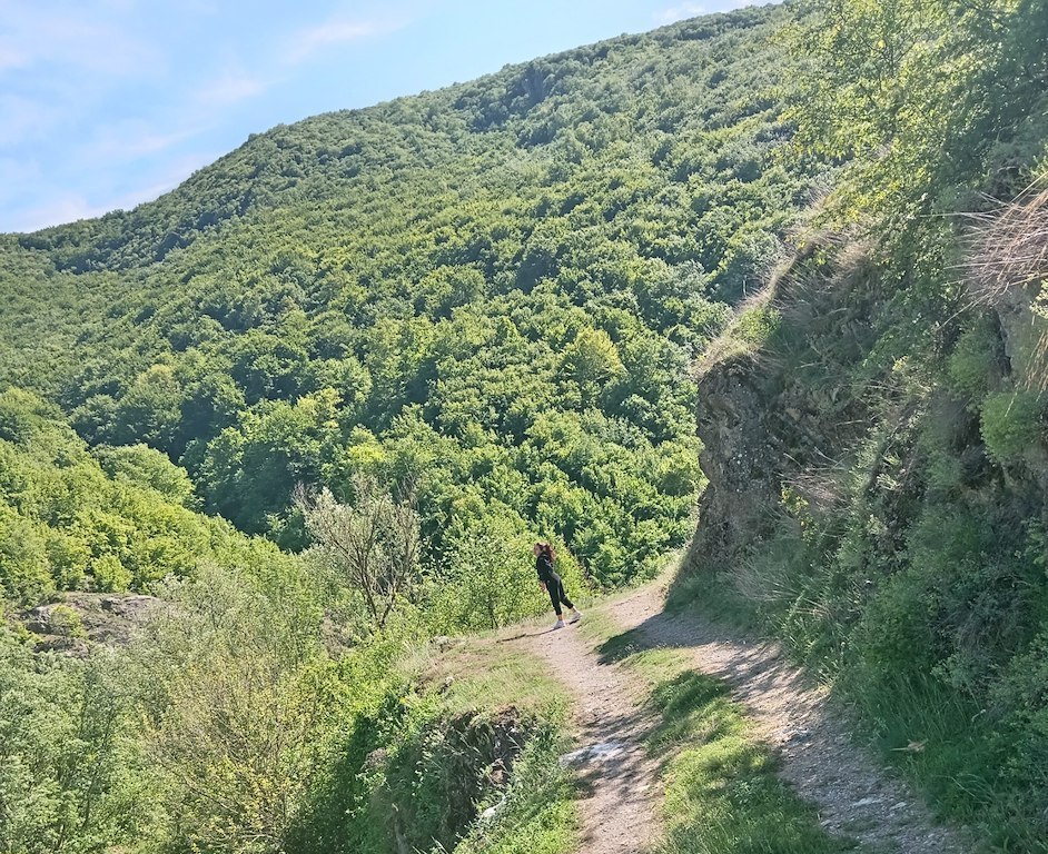 Izdajem čitavo domaćinstvo