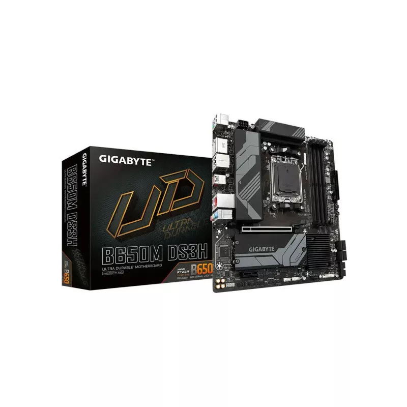 MB Gigabyte AMD AM5 B650M DS3H