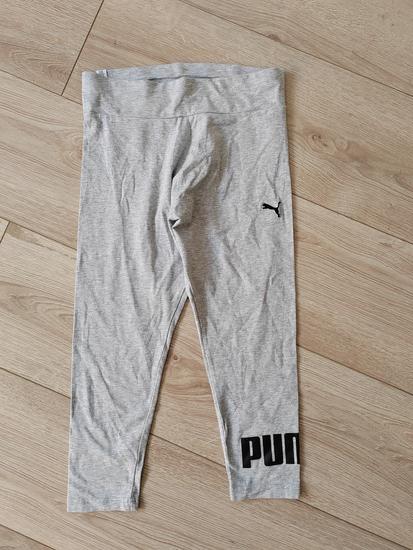 Puma helanke