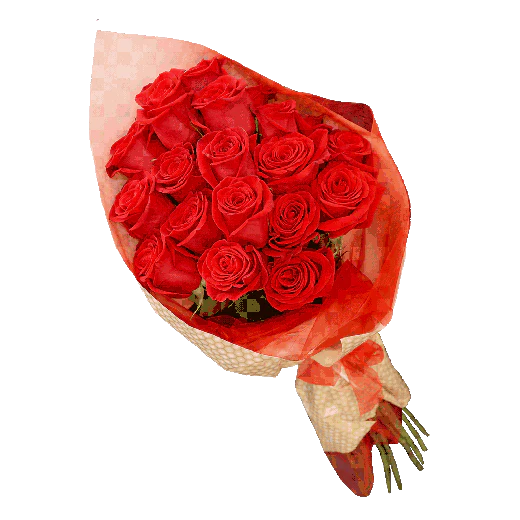 Red roses in an elegant package