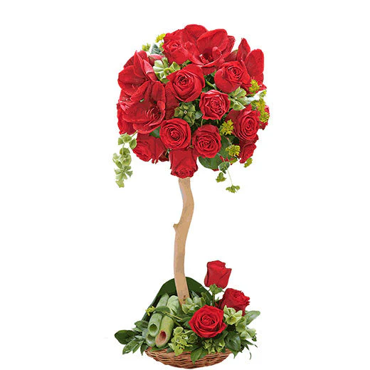 Tree of red roses