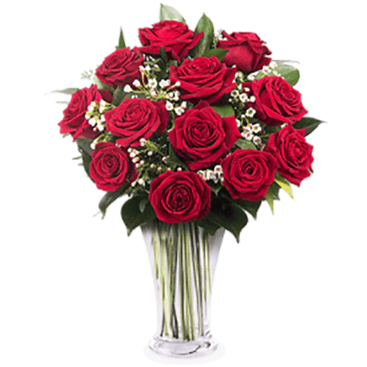 12 red roses Brazil